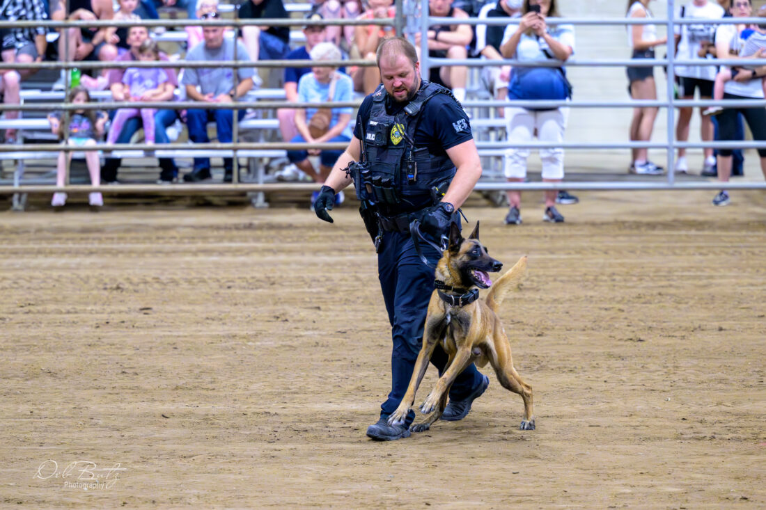2 Lawrence police dogs place in the K9 Games in Topeka | News, Sports ...